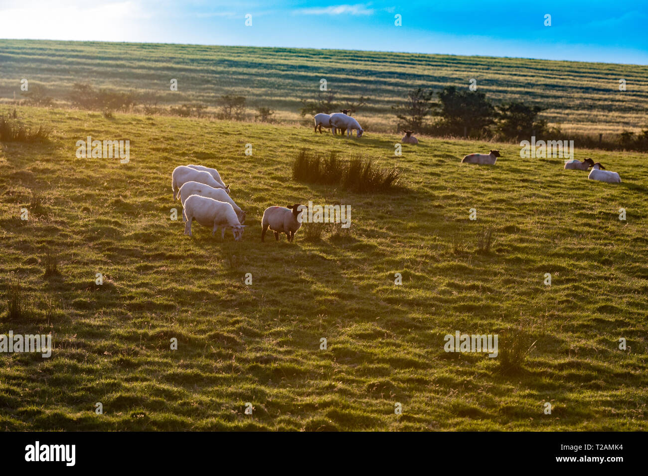 Rainy atmosphere cliff in hi-res stock photography and images - Alamy