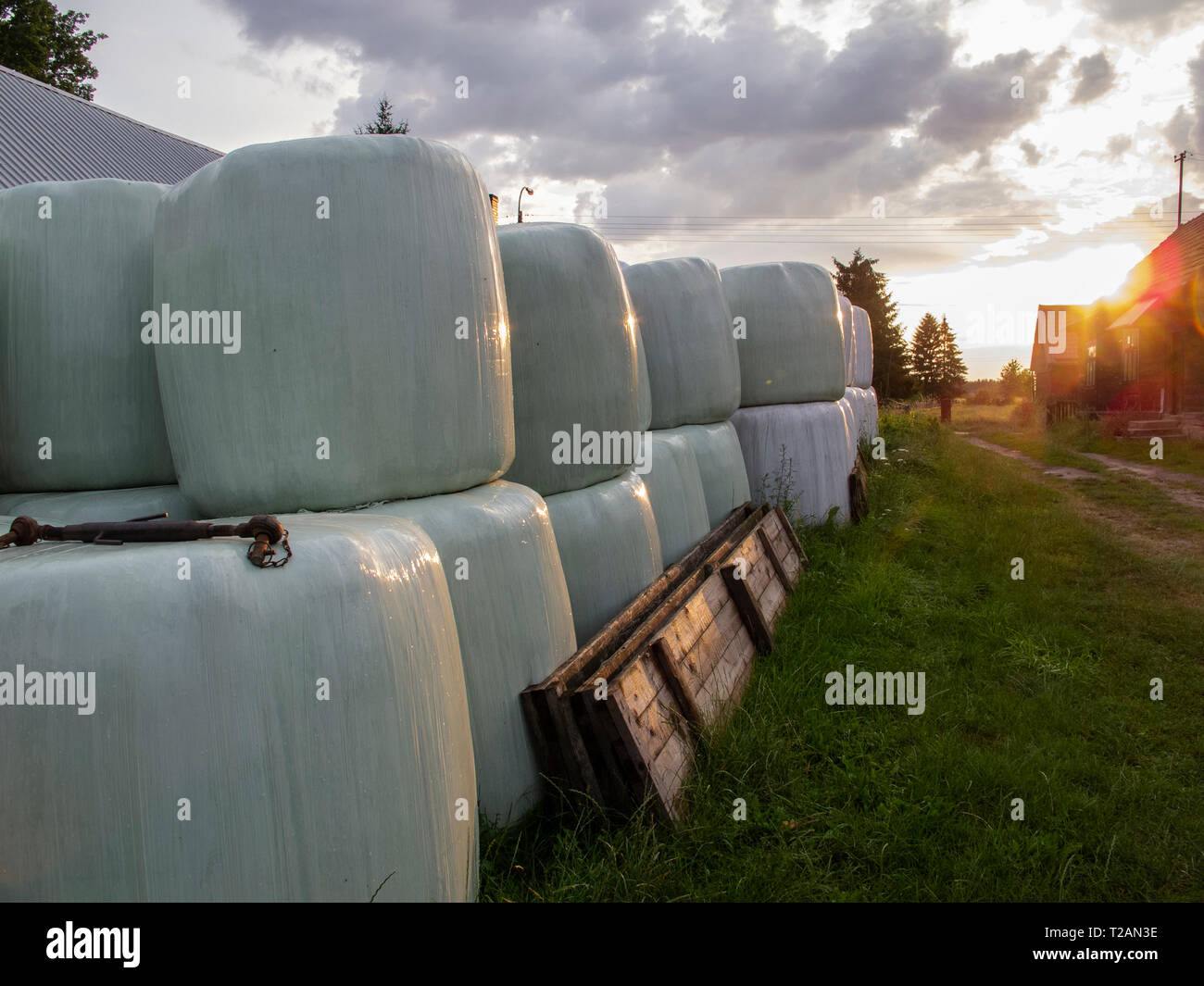 foil wrapped hay bales, animal feed Stock Photo - Alamy
