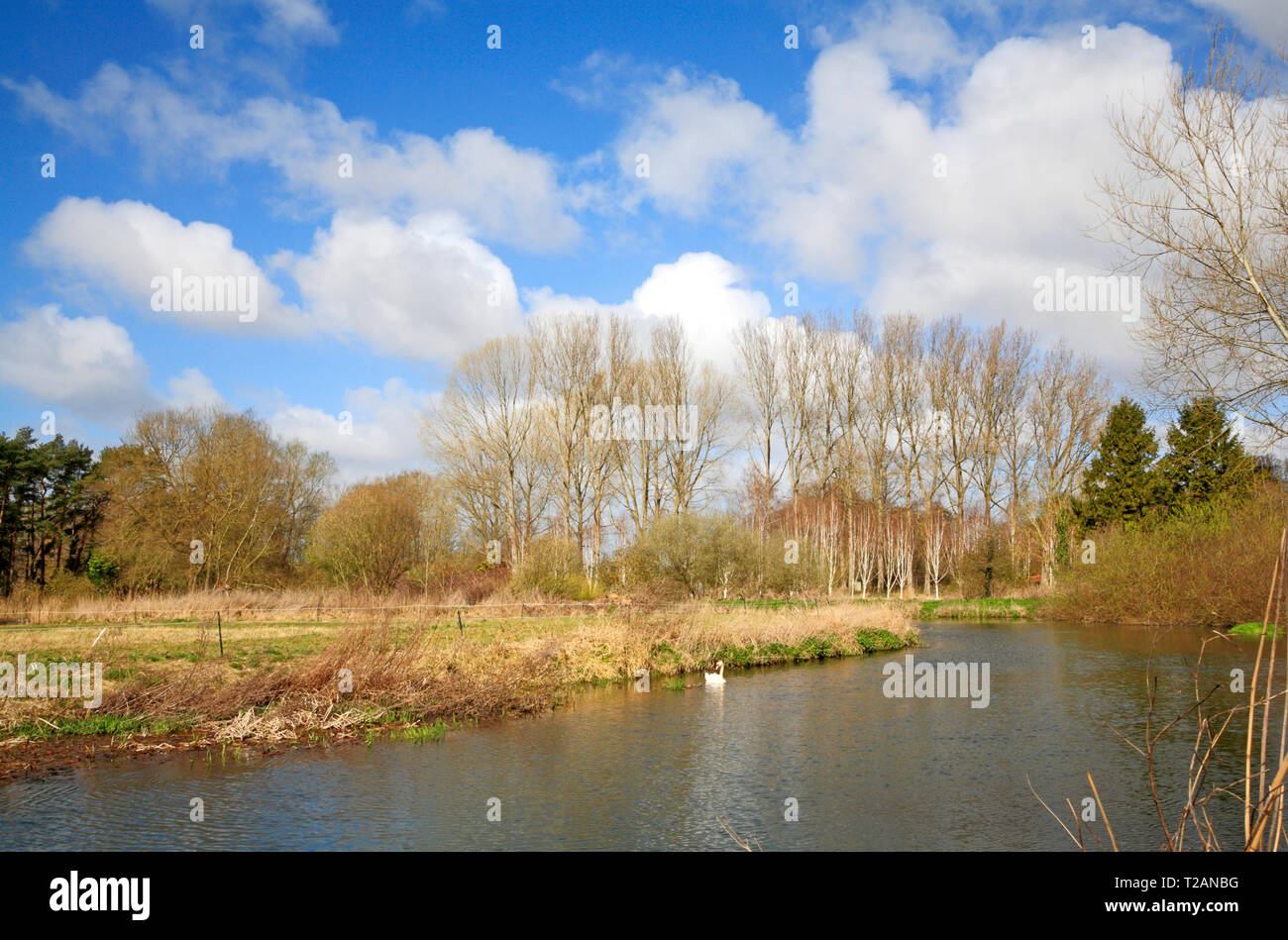 Coltishall village norfolk hi-res stock photography and images - Alamy