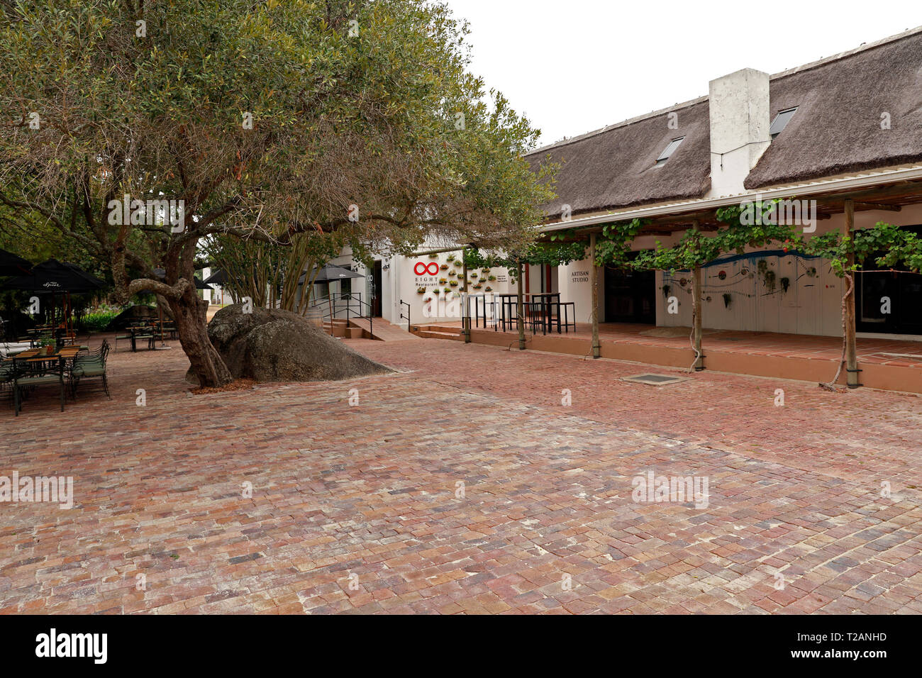 Eight Restaurant at Spier Wine Farm , Stellenbosch, Western Cape ...