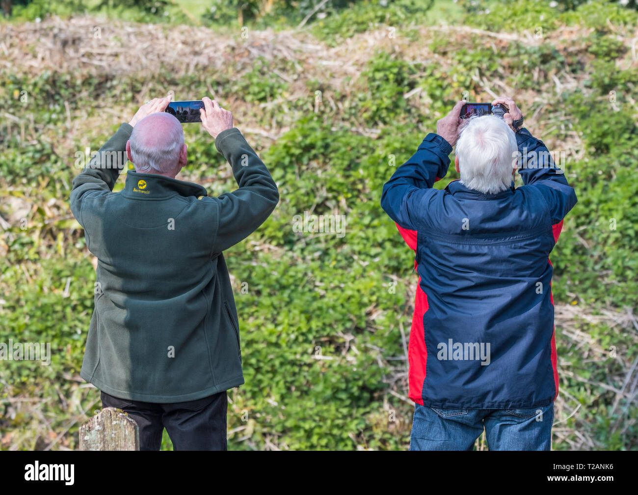 Photo photos photographs hi-res stock photography and images - Alamy