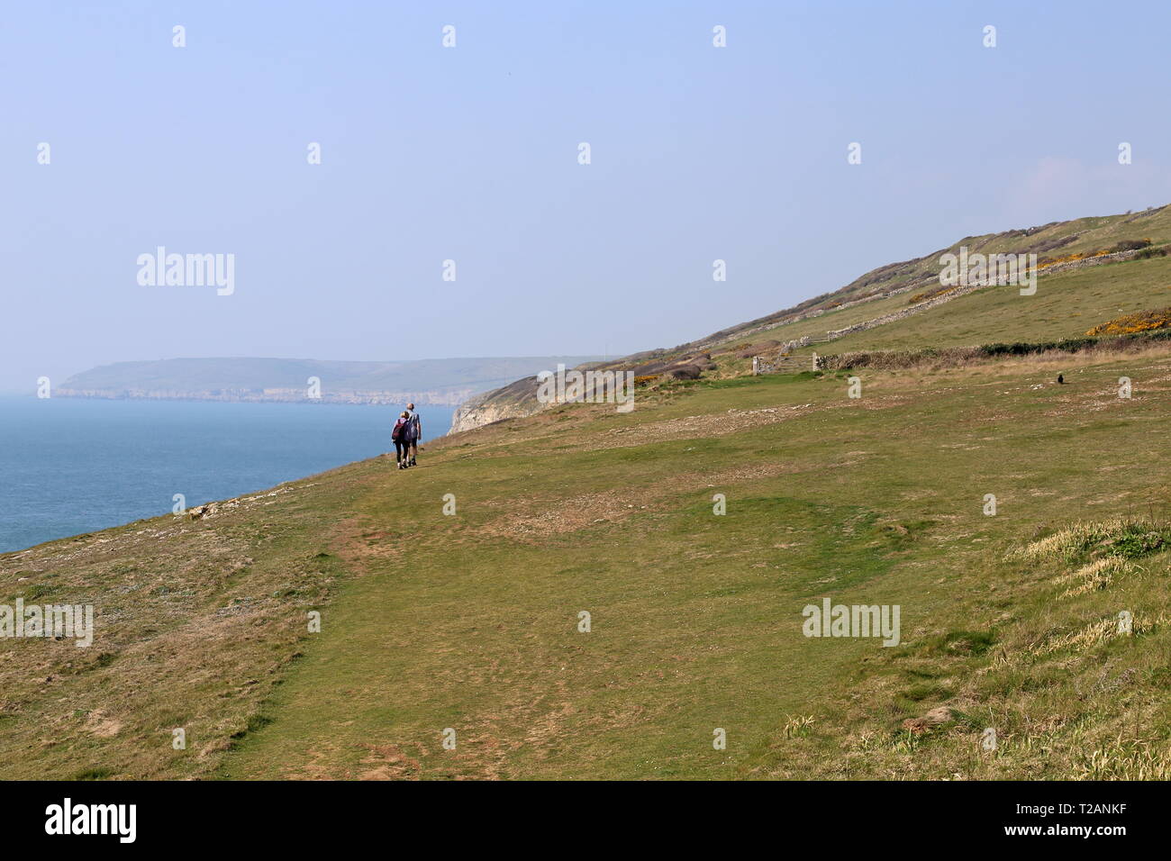 Coast Path, Durlston Country Park, Swanage, Isle of Purbeck, Dorset ...