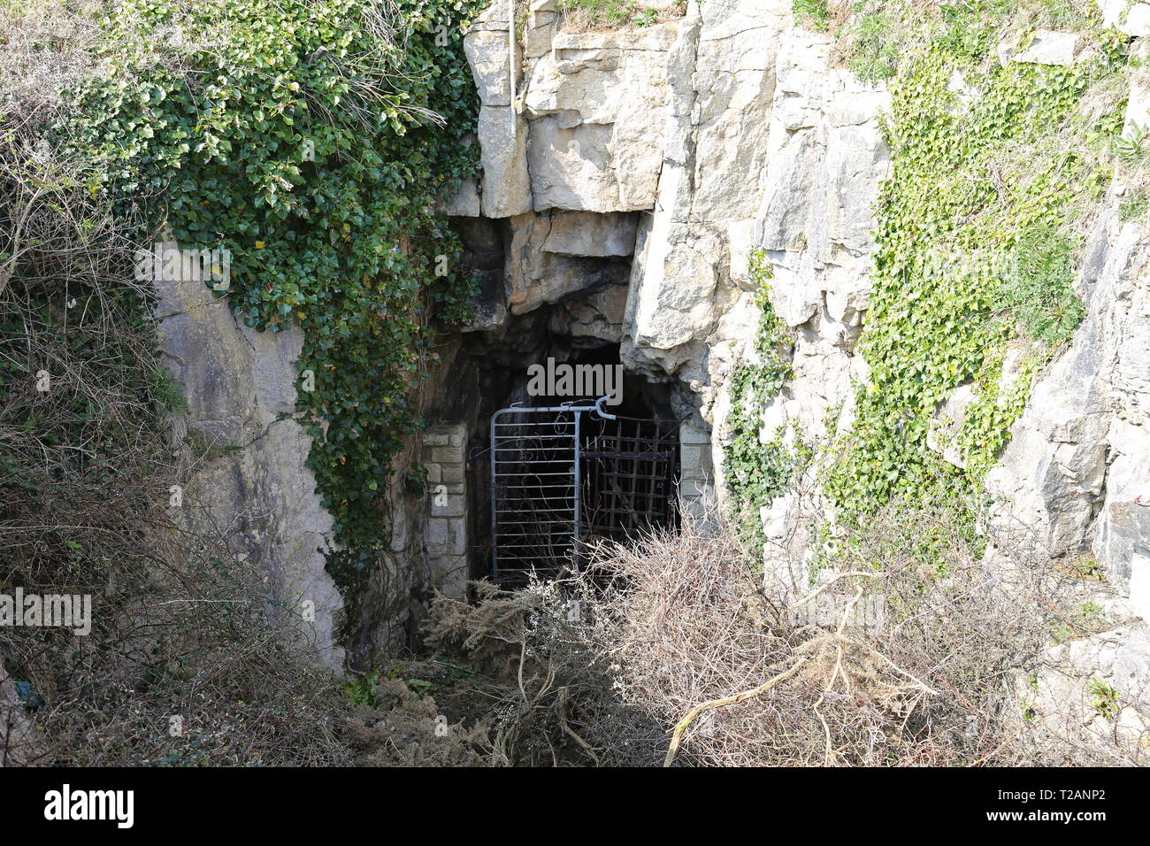 Portland cave cave park hi-res stock photography and images - Alamy
