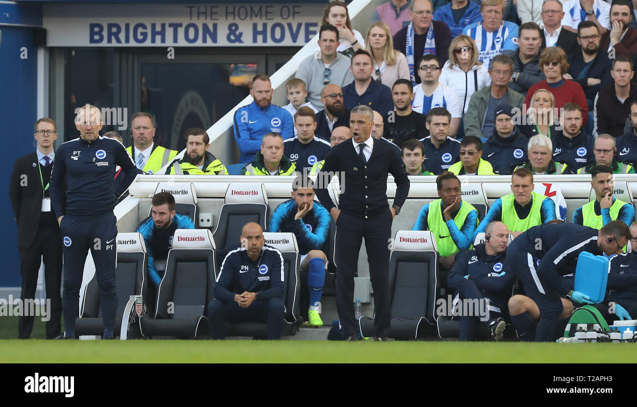 Brighton football club hi-res stock photography and images - Alamy