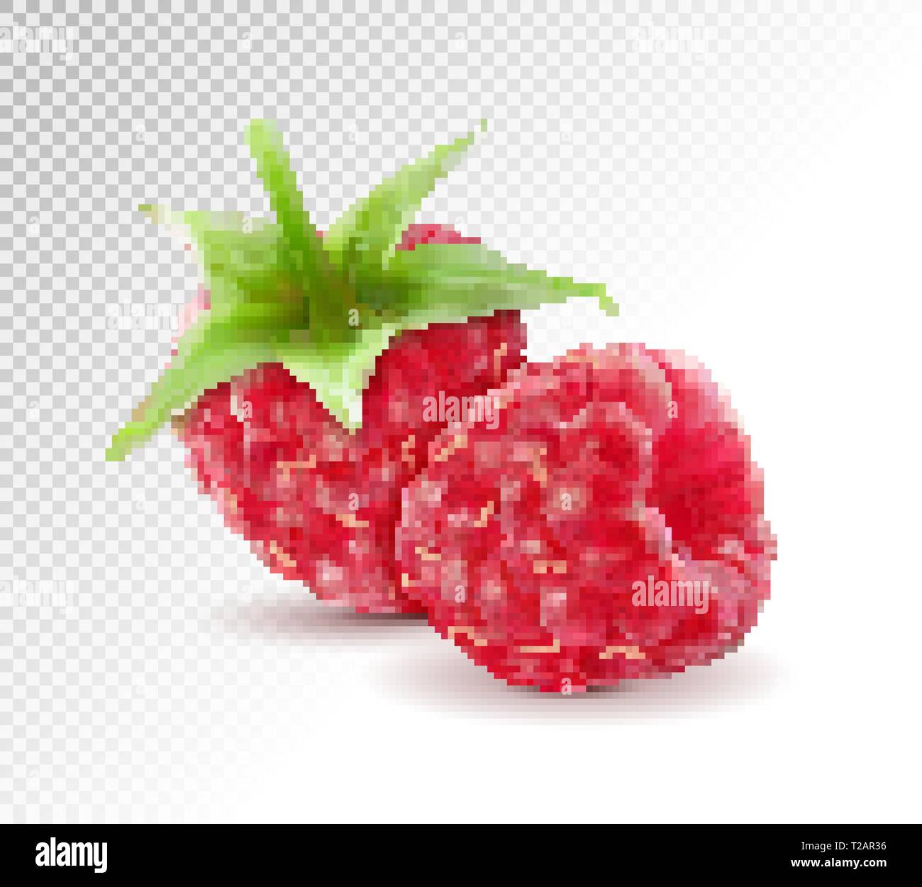 Realistic Raspberry, Fresh Sweet Fruit, Isolated on transparent ...