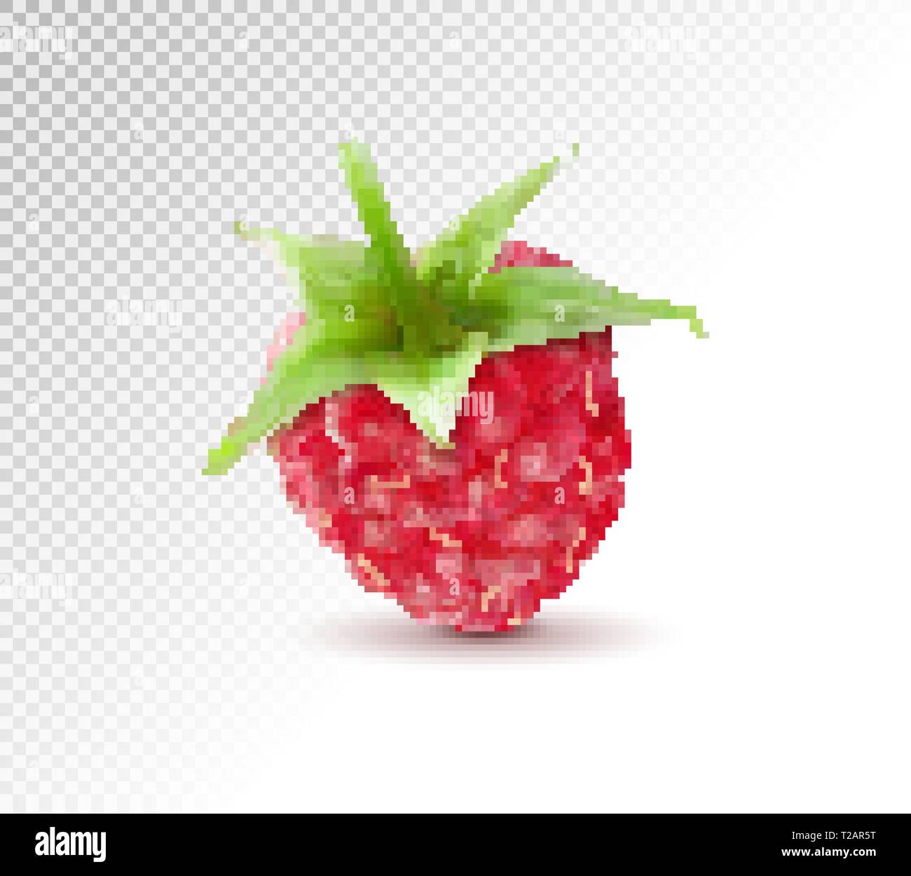 Ripe raspberries isolated on transparent background. Quality realistic ...