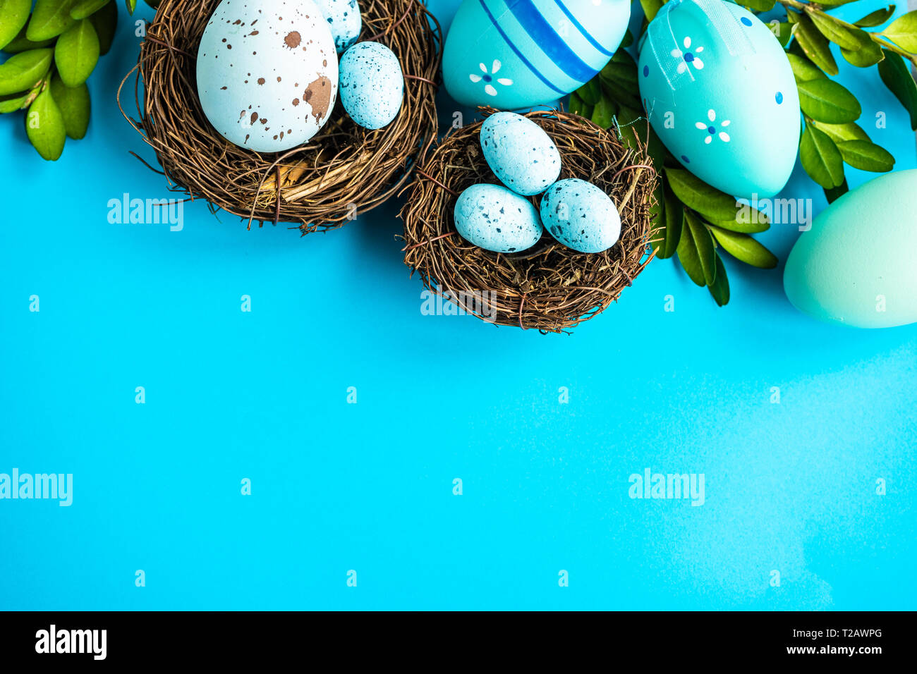 Easter holiday card concept with blue colored eggs and boxwood on ...