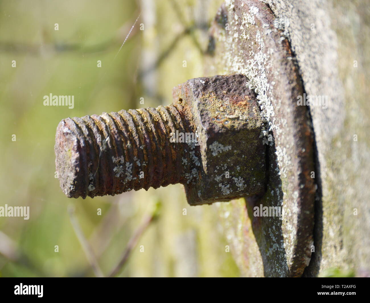 The Bolt High Resolution Stock Photography and Images - Alamy