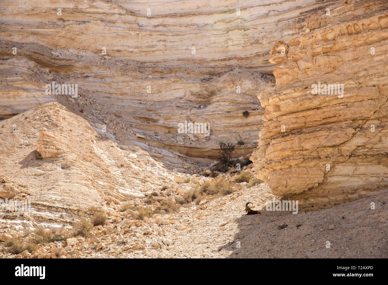 Marl stone formations. Eroded cliffs made of marl. Marl is a calcium ...