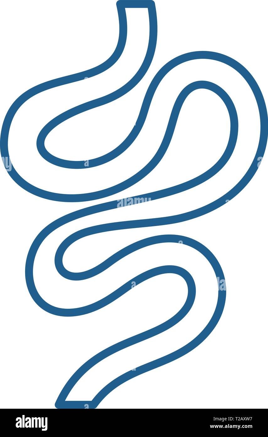 Intestines line icon concept. Intestines flat vector symbol, sign ...