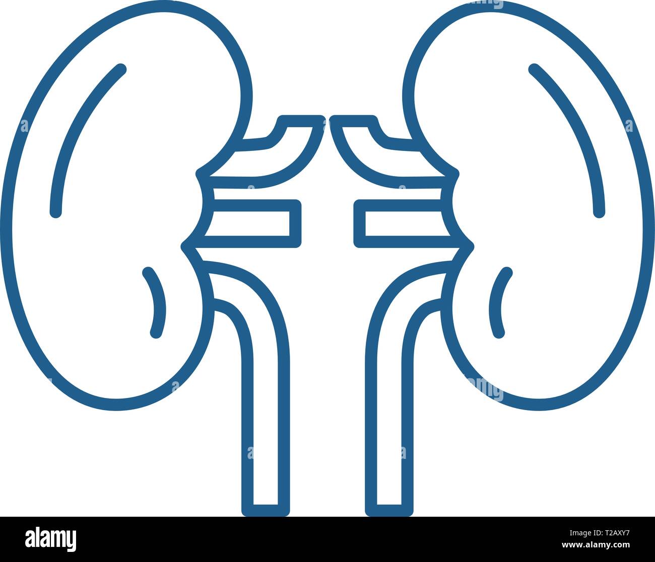 Kidney line icon concept. Kidney flat vector symbol, sign, outline ...