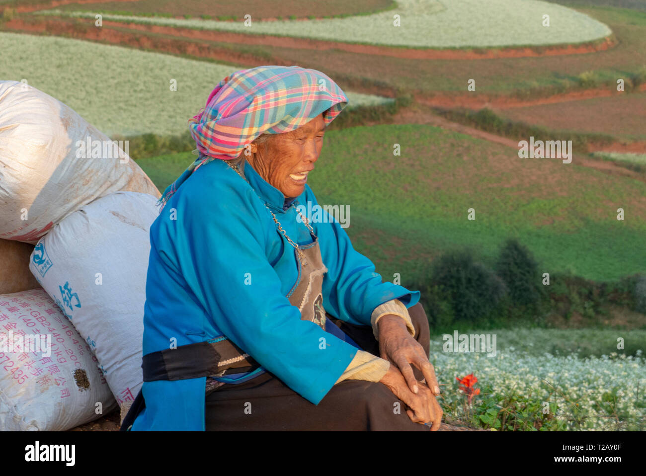 Honghe Hani Rice Terraces is the terrace located in the Honghe ...