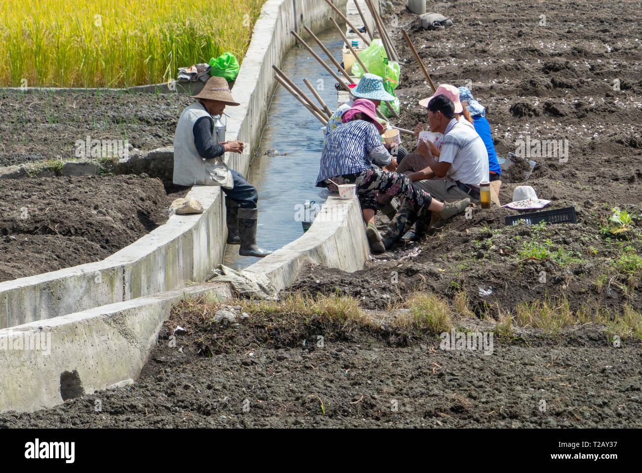 Farmers working in the rice terraces hi-res stock photography and ...
