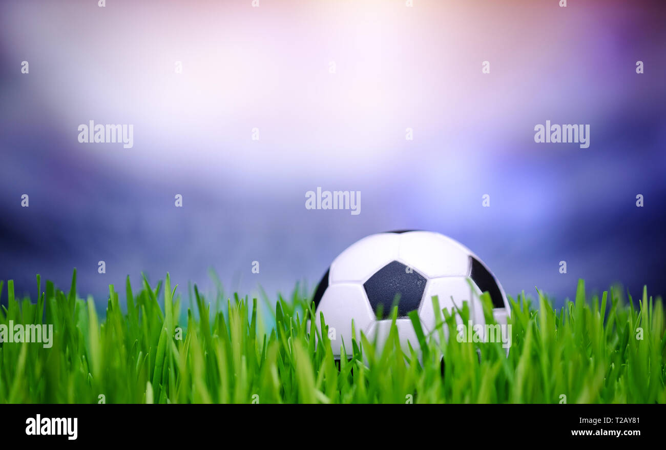 Small soccer field hi-res stock photography and images - Alamy