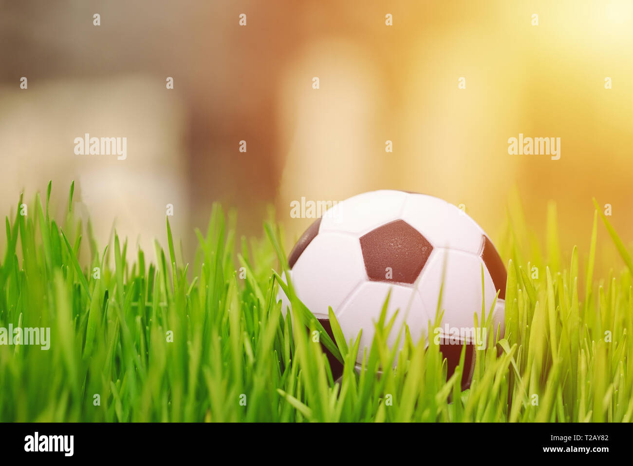 Small soccer ball in grass Stock Photo - Alamy