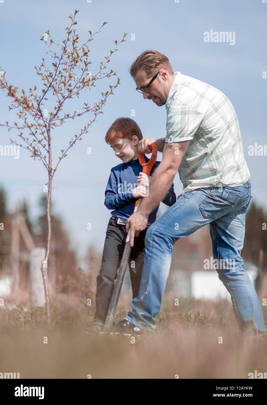son and father plant a tree together Stock Photo - Alamy