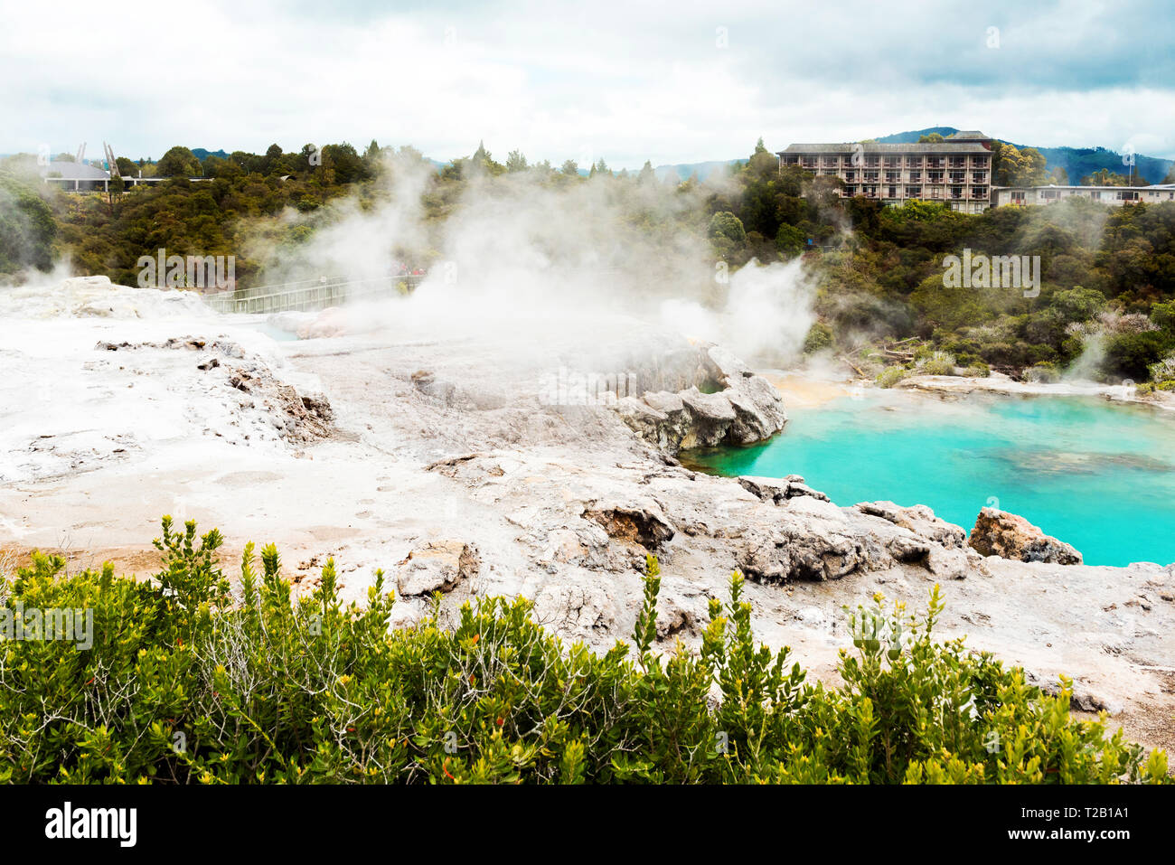 Hot Springs in Te Puia, Rotorua in New Zealand on the North Island ...