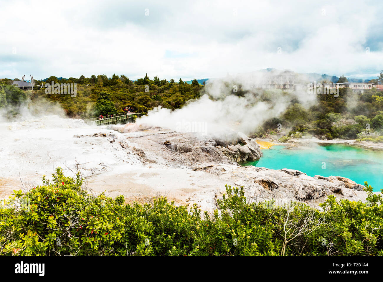 Te puia rotorua hi-res stock photography and images - Alamy