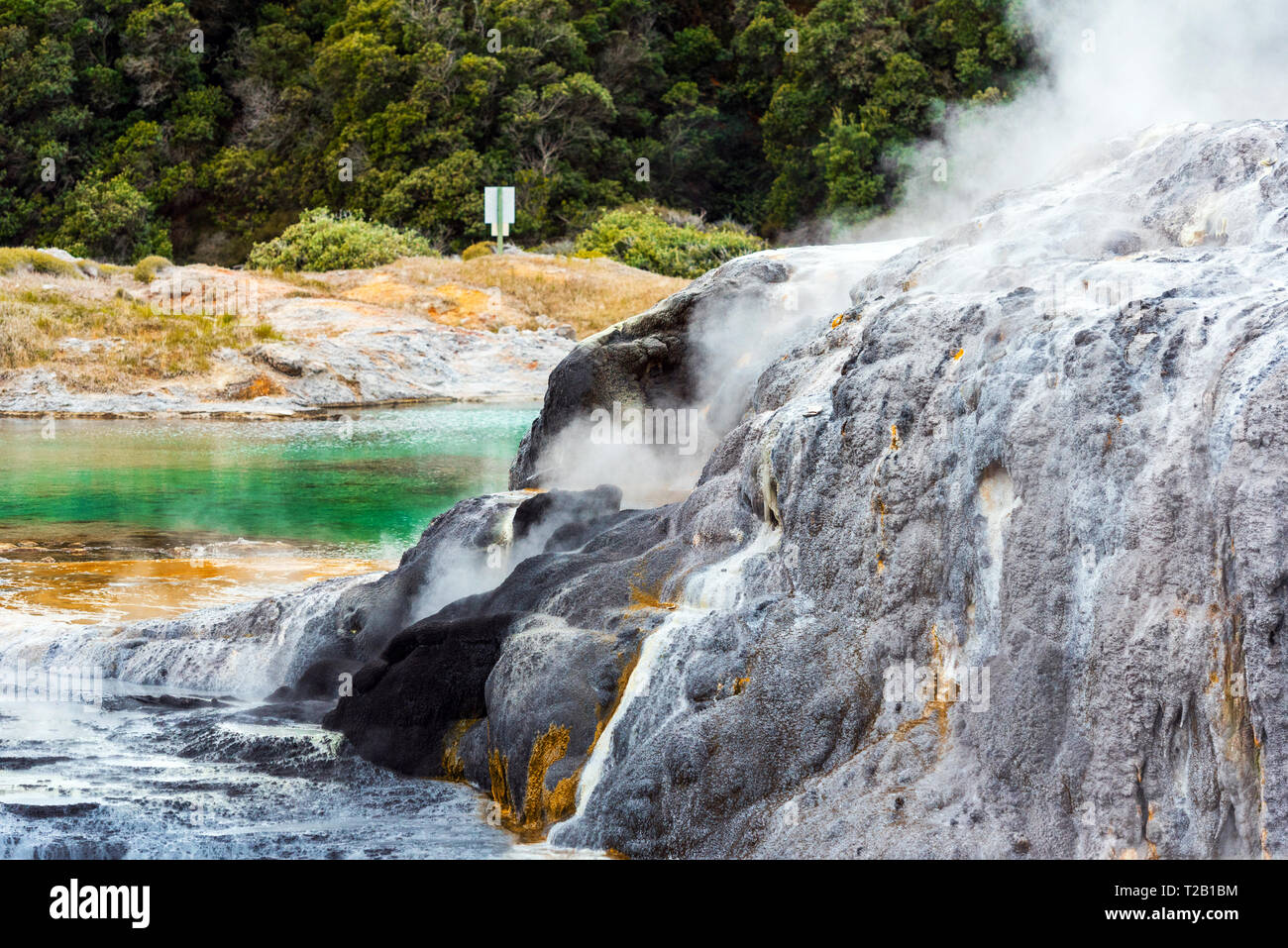 Hot Springs in Te Puia, Rotorua in New Zealand on the North Island ...