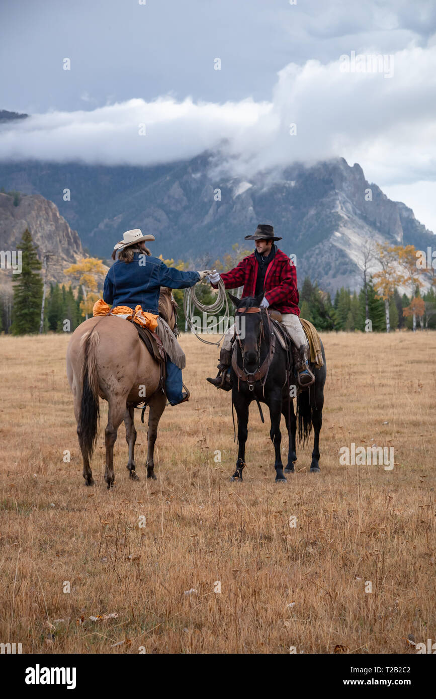 American cowboys of Wyoming, USA Stock Photo - Alamy