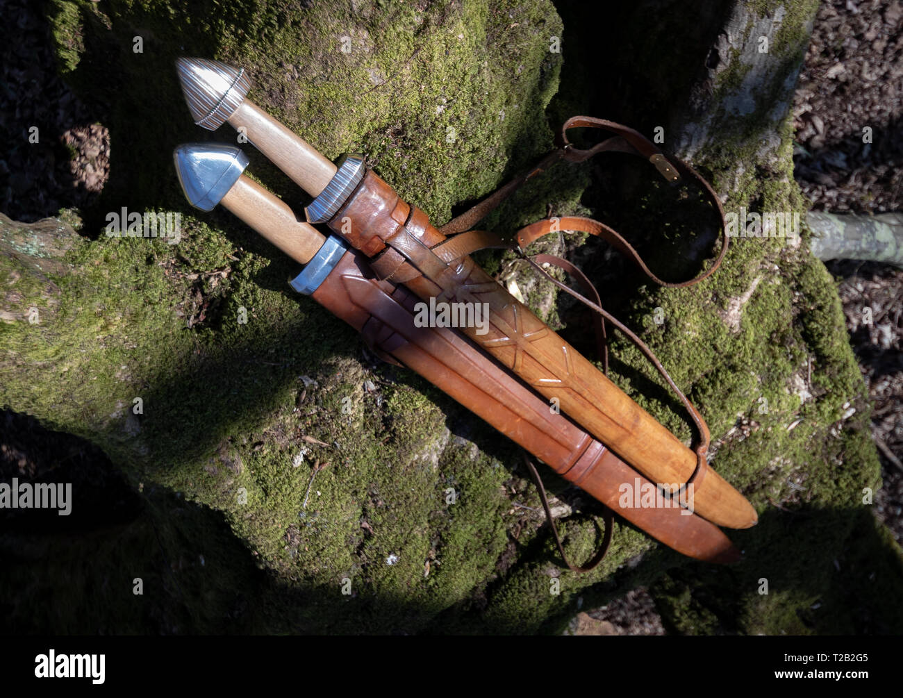 Two sheathed Viking swords sitting on mossy tree branch Stock Photo - Alamy