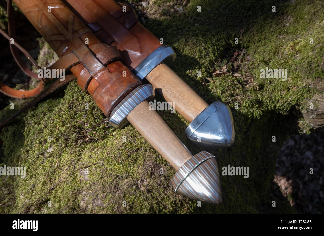 Two sheathed Viking swords sitting on mossy tree branch Stock Photo - Alamy