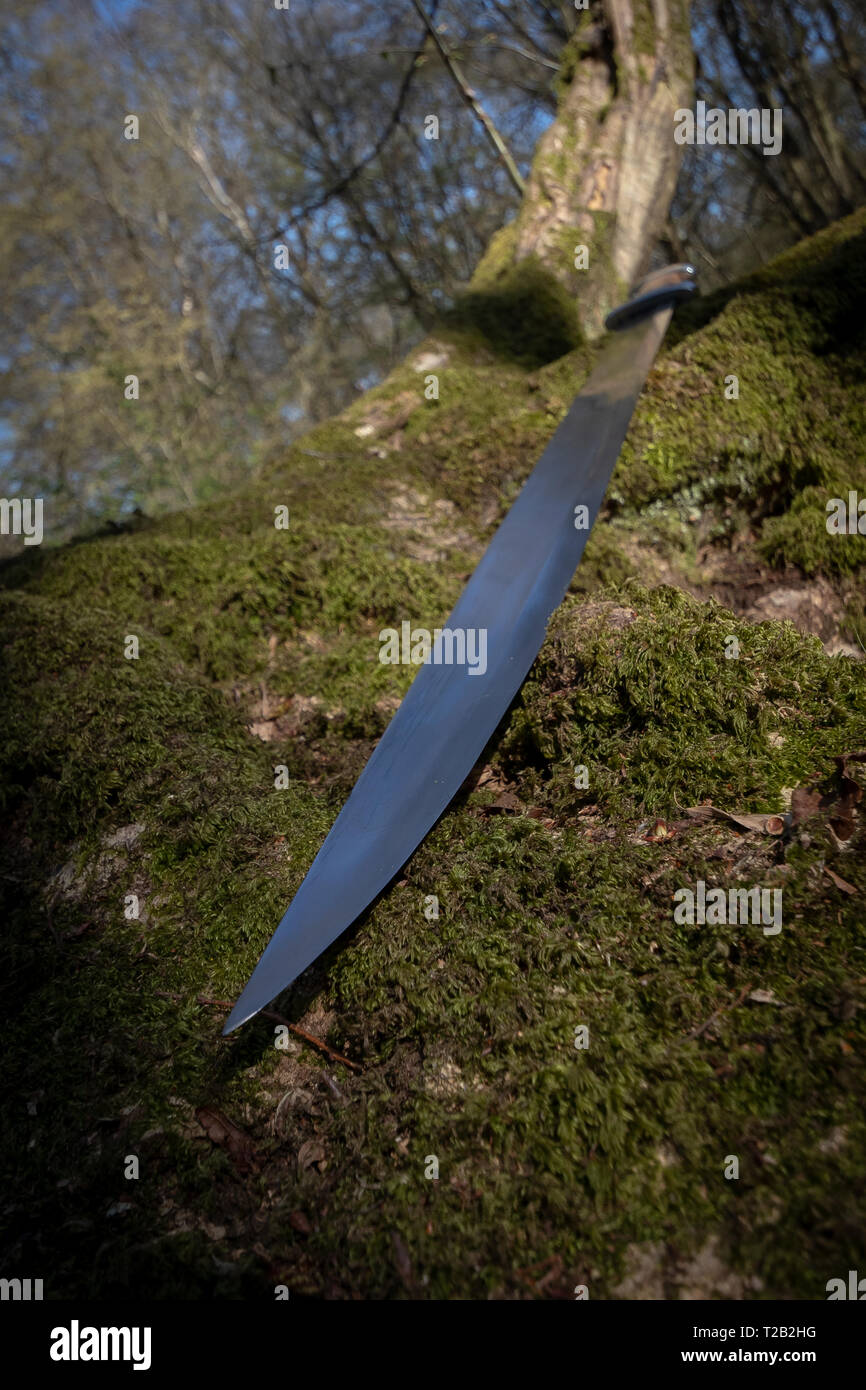 Sharp single edged Norwegian Viking sword sitting on mossy tree branch ...