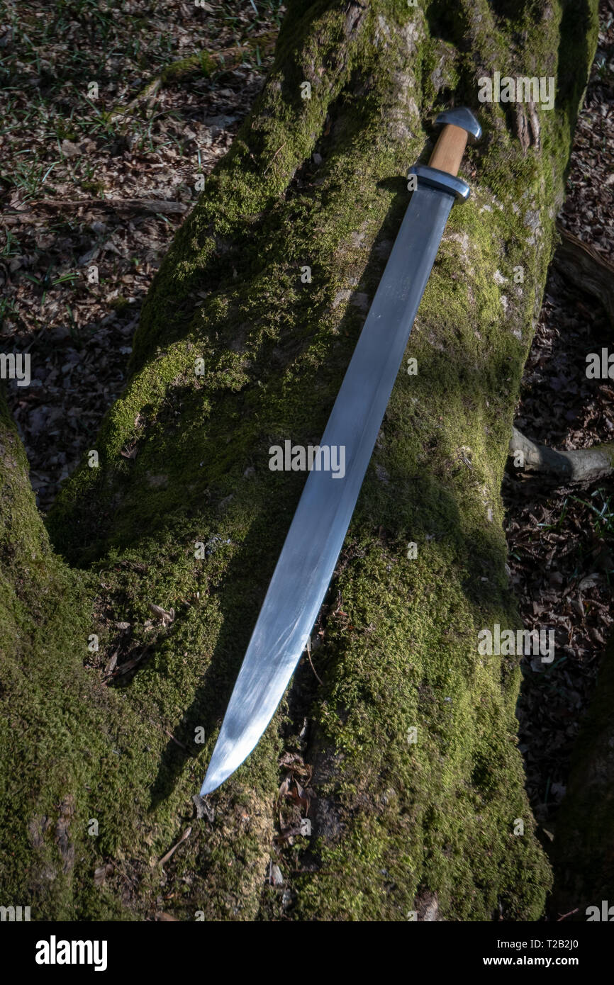 Sharp single edged Norwegian Viking sword sitting on mossy tree branch ...