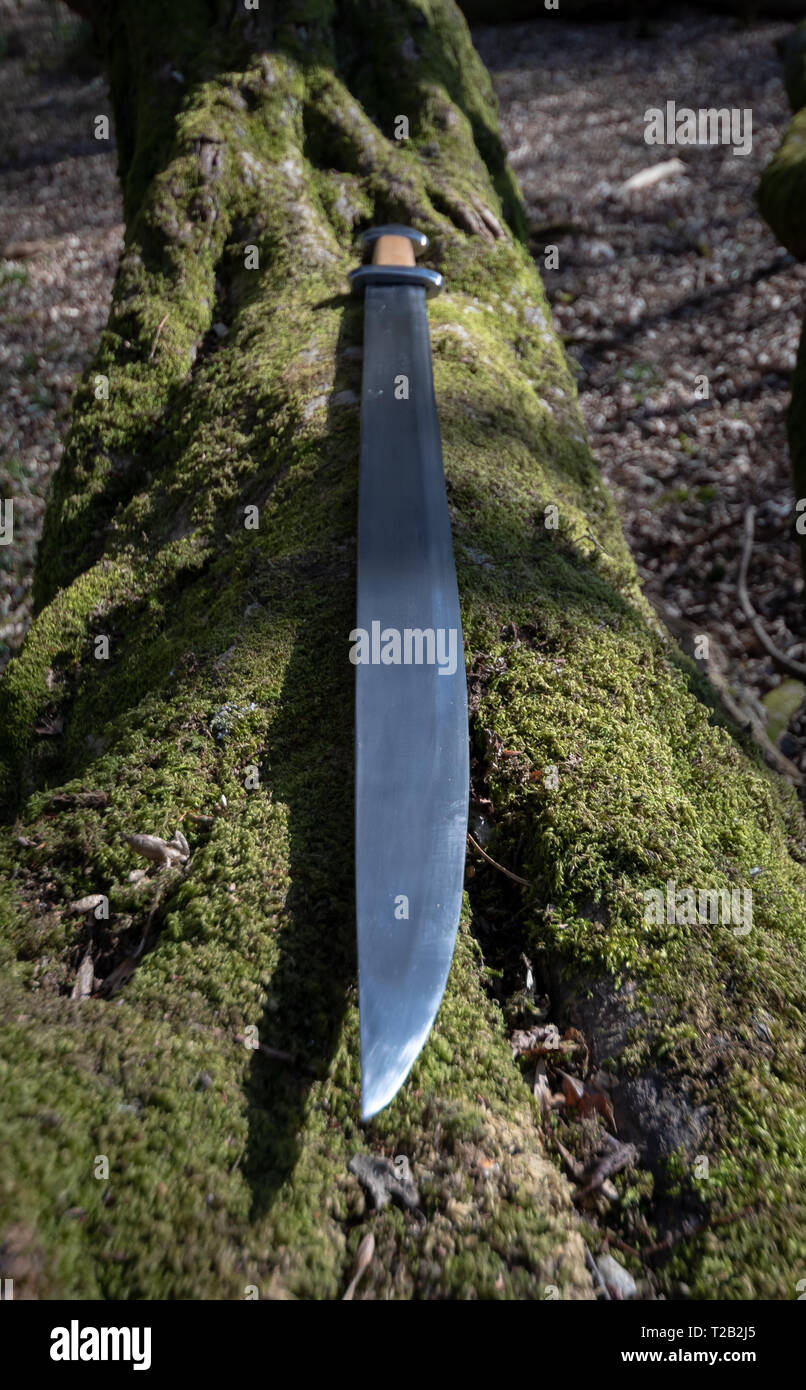 Sharp single edged Norwegian Viking sword sitting on mossy tree branch ...