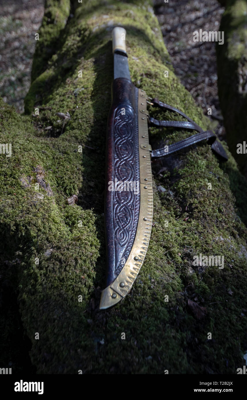 Replica Saxon seax knife in sheath on mossy branch of tree Stock Photo ...