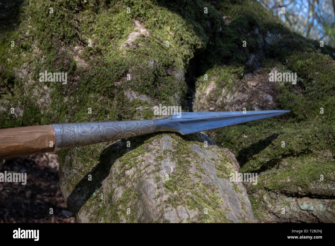 Sharp spear leaning on mossy rocks Stock Photo - Alamy