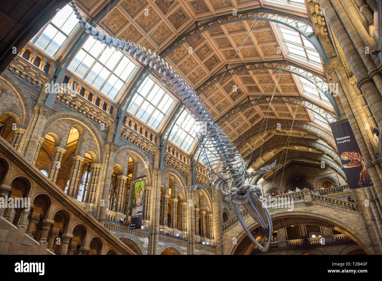 The science museum in central london hi-res stock photography and ...