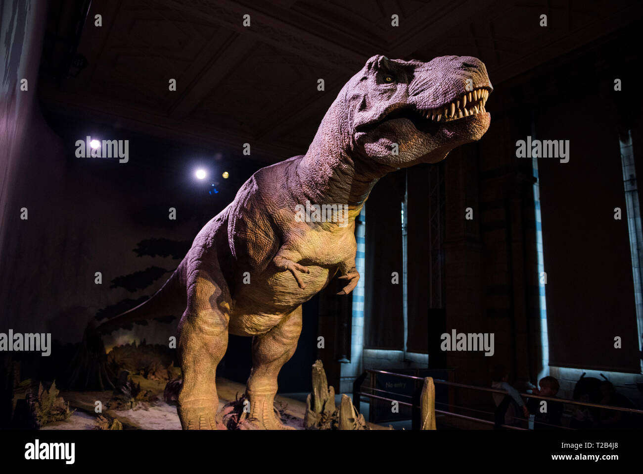T rex tyrannosaurus rex t rex reconstruction hi-res stock photography ...