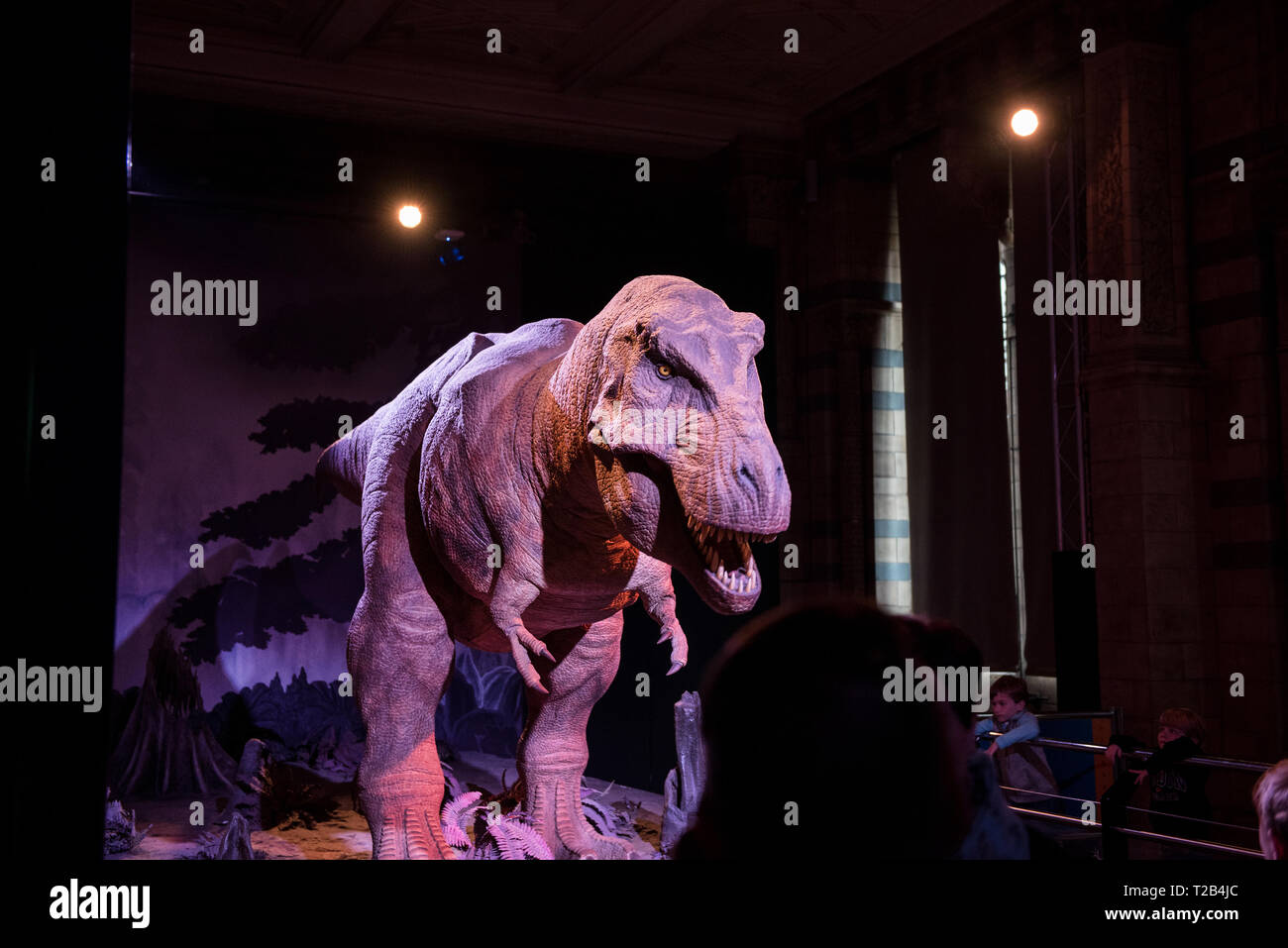 T rex tyrannosaurus rex t rex reconstruction hi-res stock photography ...