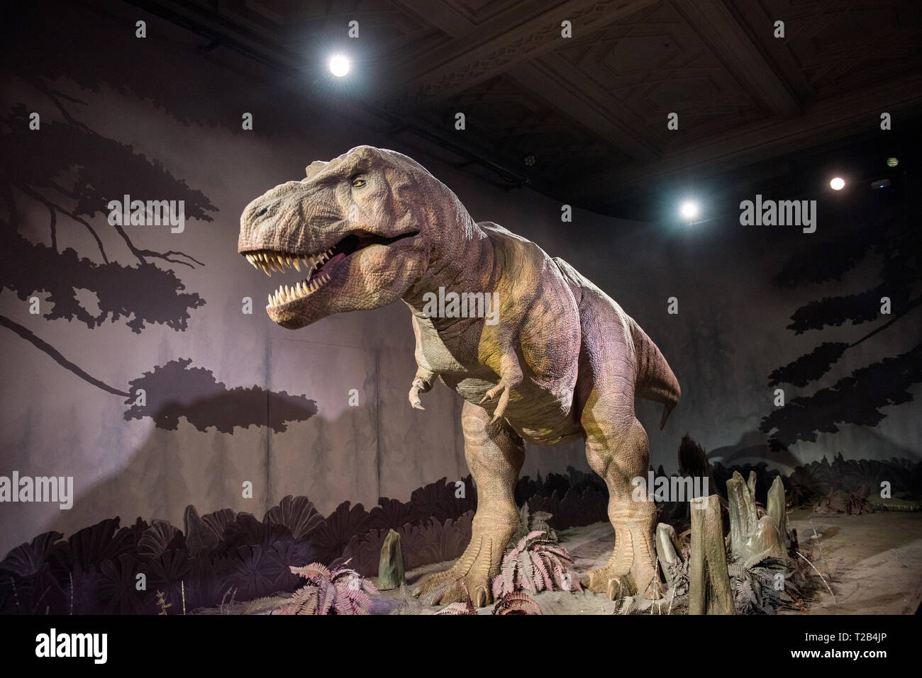 T rex tyrannosaurus rex t rex reconstruction hi-res stock photography ...