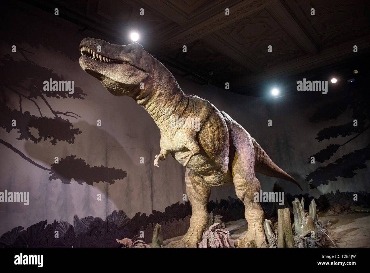 T rex tyrannosaurus rex t rex reconstruction hi-res stock photography ...
