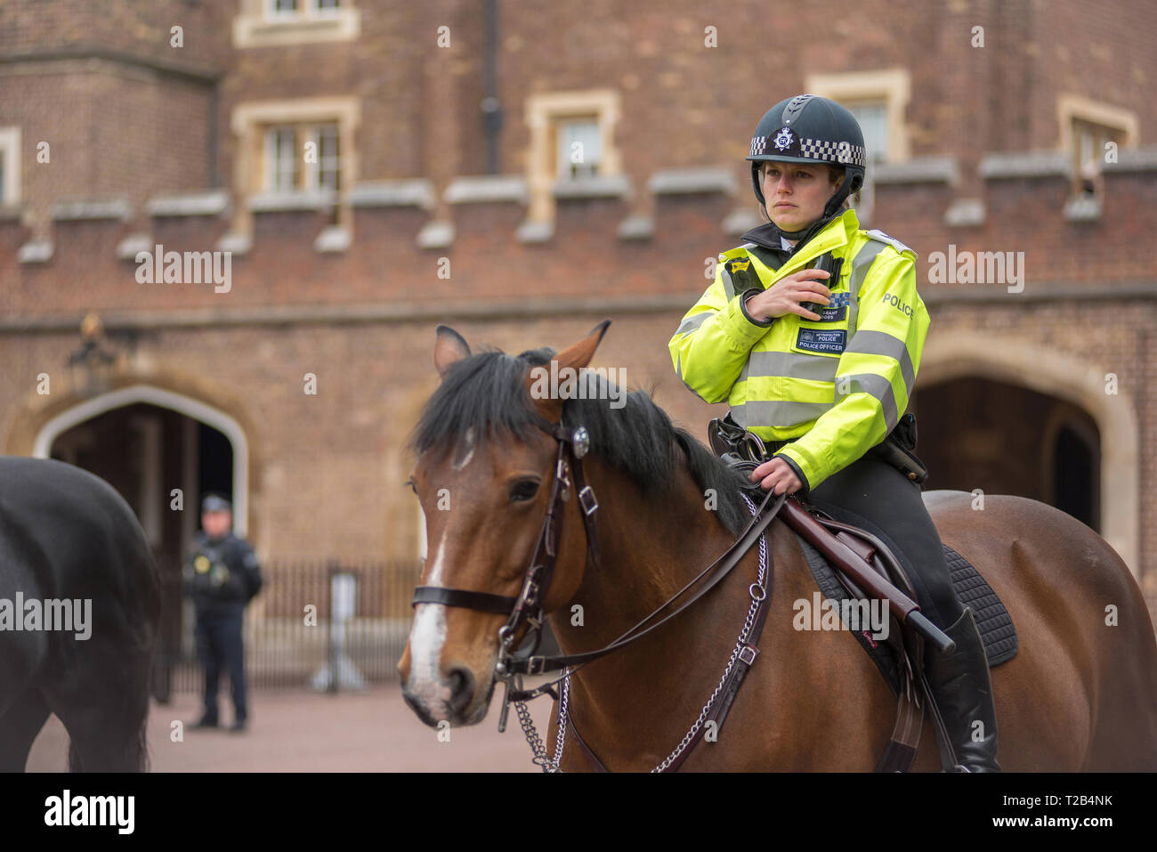 LONDON, UK - MARCH 22, 2019: Policewoman from the Metropolitan Police ...