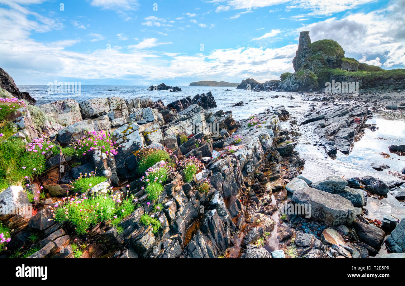 Intertidal zone hi-res stock photography and images - Alamy