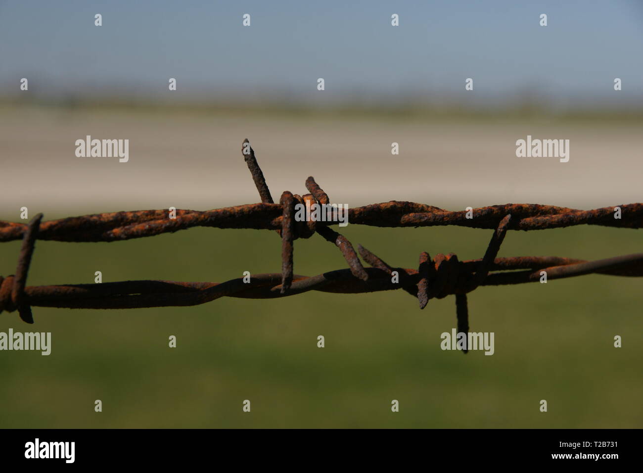 Raf marham f35 hi-res stock photography and images - Alamy