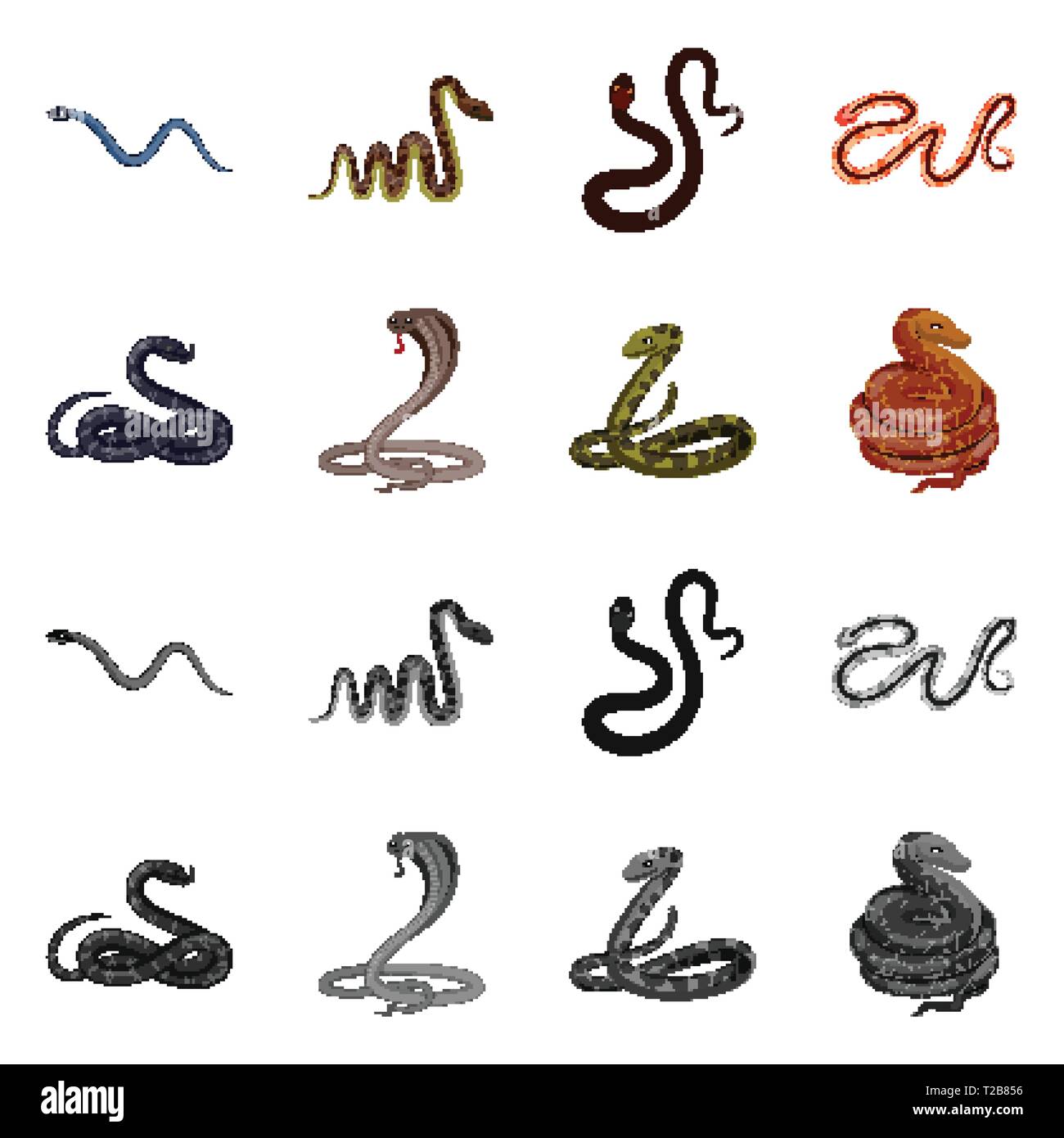 snake,anaconda,cobra,tail,python,spiral,jungle,viper,animal,forest ...