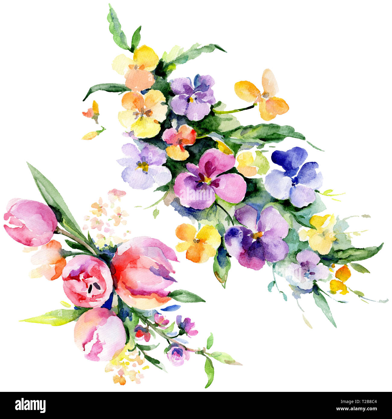 Bouquets floral botanical flowers. Watercolor background illustration ...