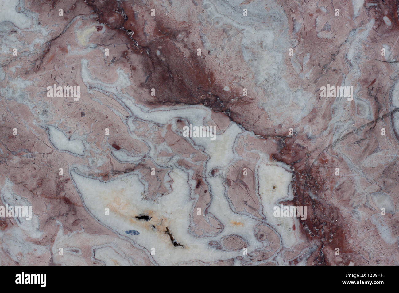 Reddish-brown base with dark and gray spots. Classic travertine texture ...