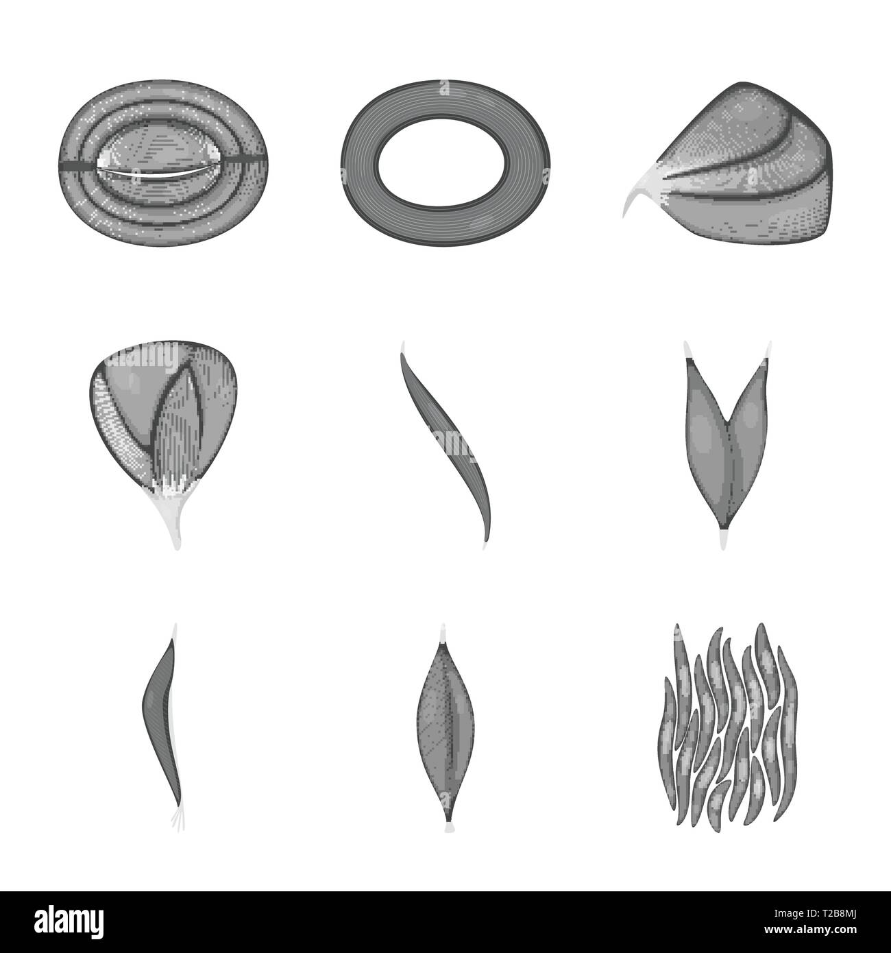 Vector design of human and body symbol. Collection of human and cells ...