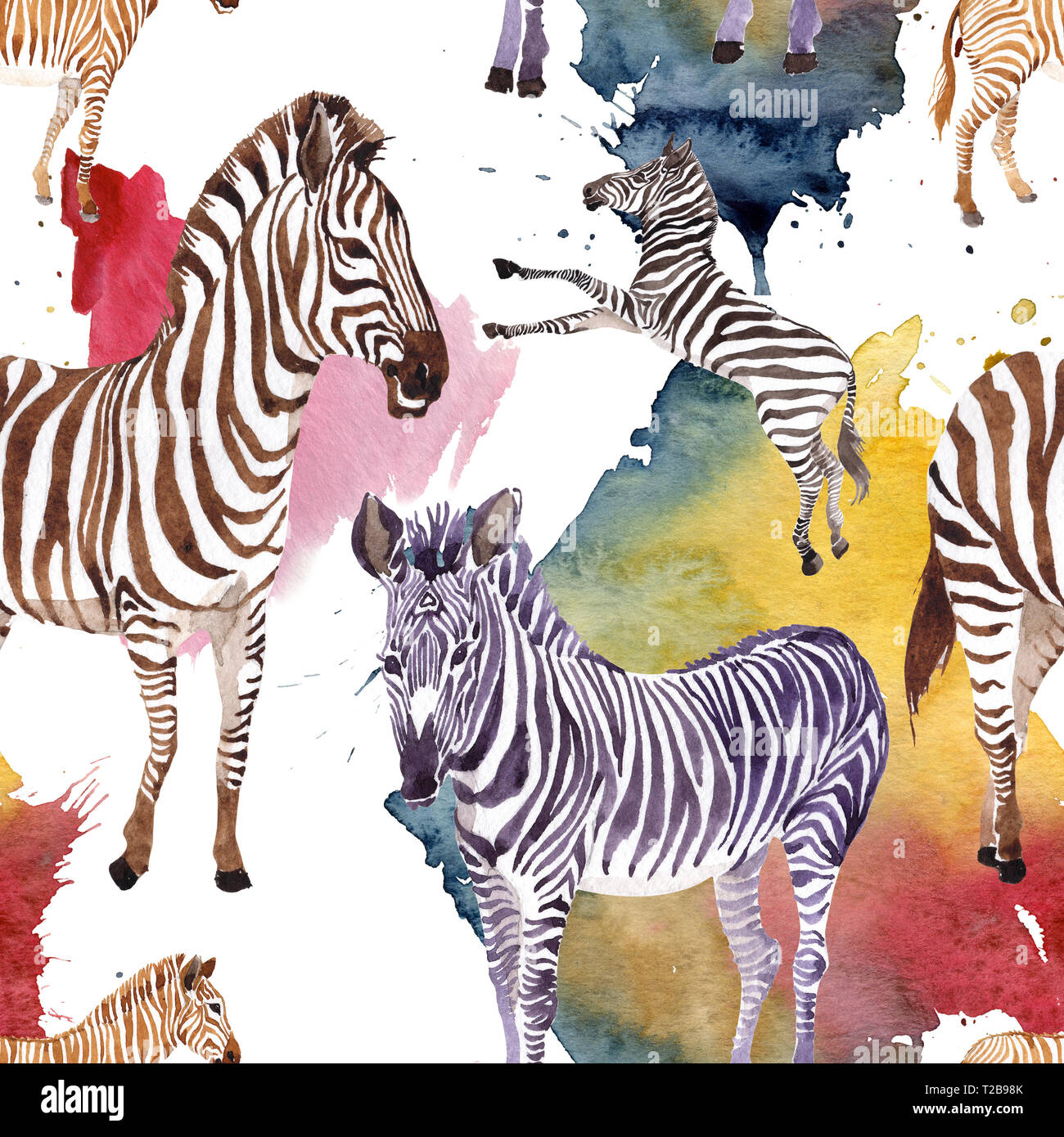 Exotic zebra wild animal in a watercolor style. Watercolor background ...