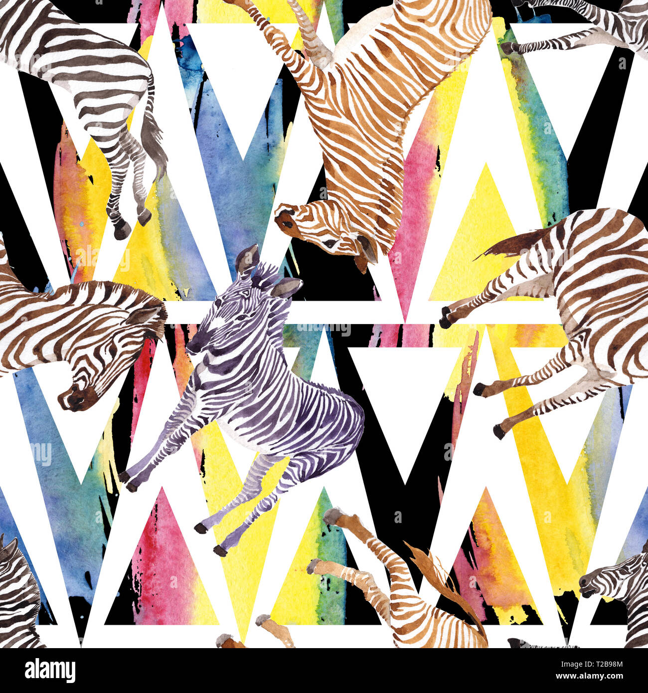 Exotic zebra wild animal in a watercolor style. Watercolor background ...