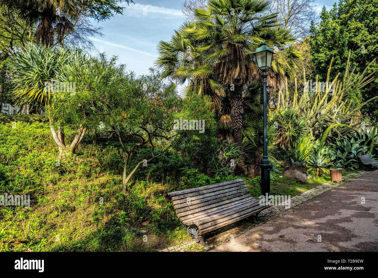 View estrela garden in hi-res stock photography and images - Alamy