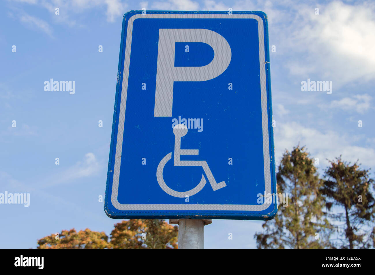 Parking Sign For Wheelchair Drivers At Amsterdam The Netherlands 2018 ...