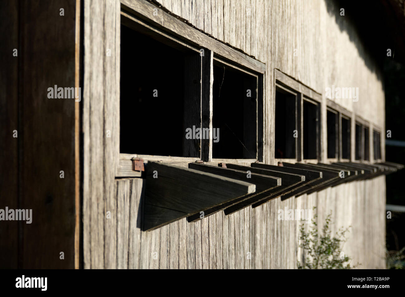 Bird watching hut hi-res stock photography and images - Alamy