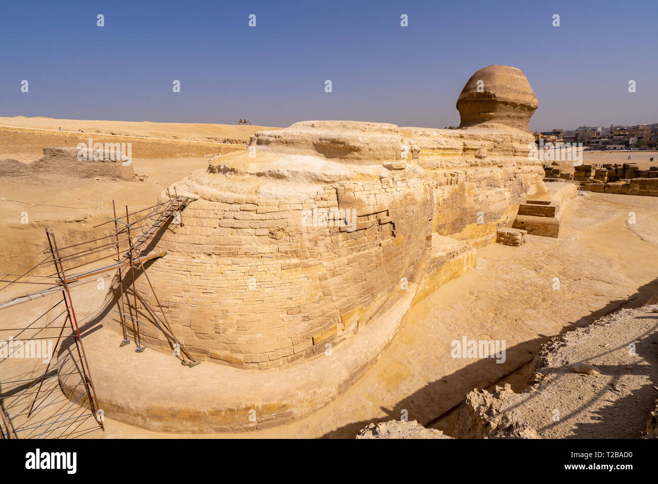 Great Sphinx of Giza from back side. Unusual view point Stock Photo - Alamy
