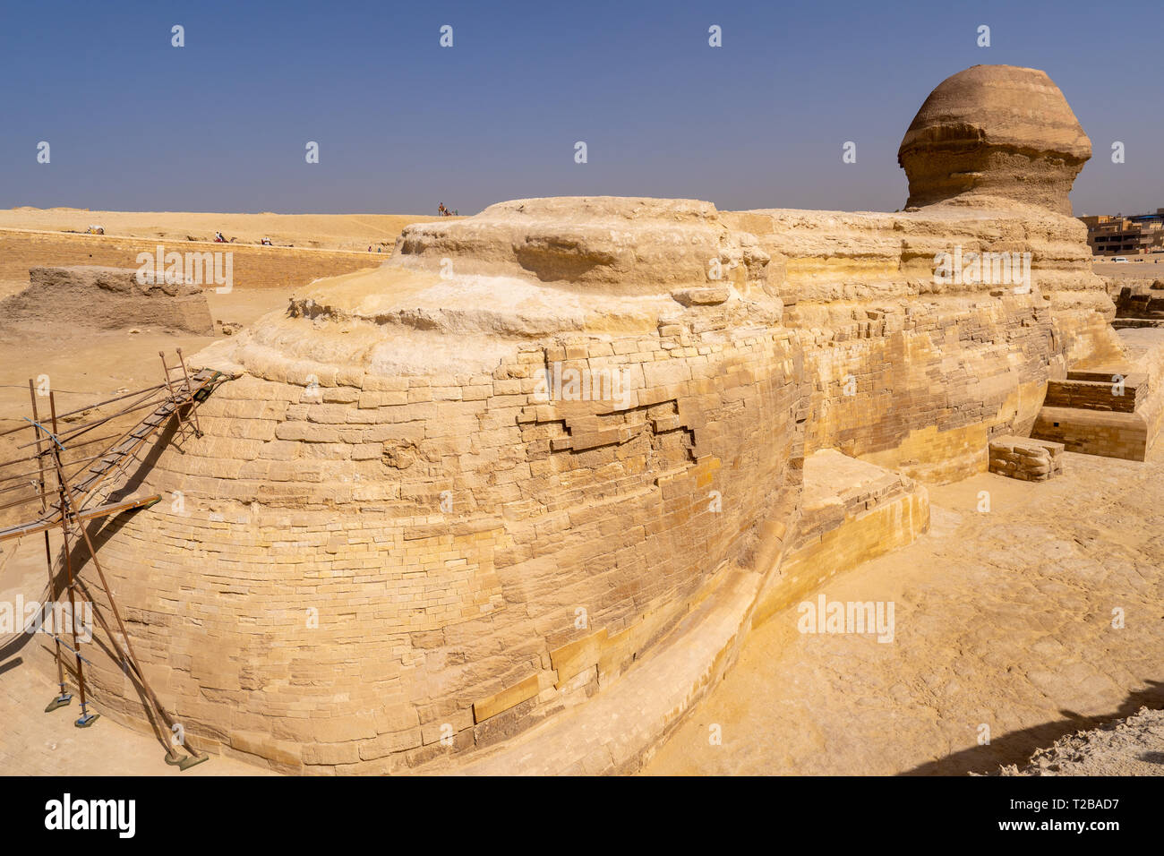 Back of sphinx egypt hi-res stock photography and images - Alamy